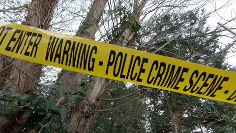 Cinematic Crime Scene Tape In The Woods,... | Stock Video | Pond5