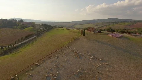Cinematic drone shot flying over a ranch... | Stock Video | Pond5