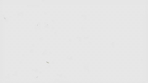 Dust Particles Alpha Channel Stock Videos – Royalty-Free HD & 4K Videos ...