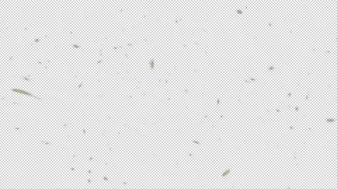 Dust Particles Alpha Channel Stock Footage ~ Royalty Free Stock Videos ...