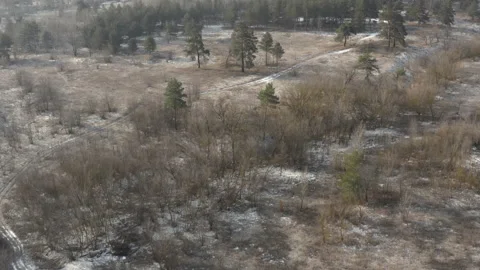 Alone Immage Stock Video Footage | Royalty Free Alone Immage Videos | Pond5