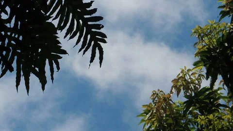 Clouds Intro Backgrounds Stock Video Footage | Royalty Free Clouds ...