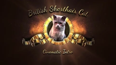 Cinematic Pet Intro ~ After Effects Template #167569467