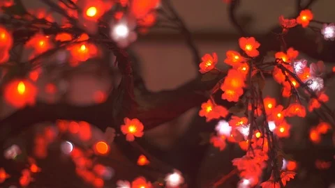 Cinematic shot of red sakura tree with b... | Stock Video | Pond5
