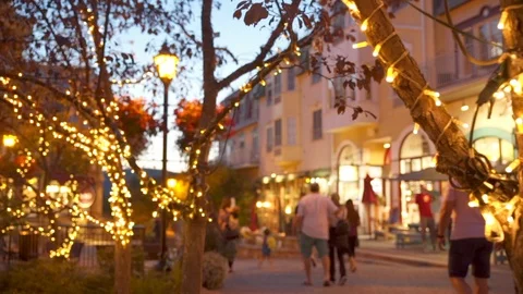 Cinematic shot of string lights on trees... | Stock Video | Pond5