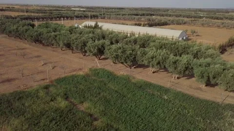 Nop Stock Video Footage | Royalty Free Nop Videos | Pond5