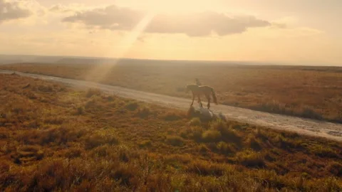 Cinematic visuals that bring nature’s ... | Stock Video | Pond5