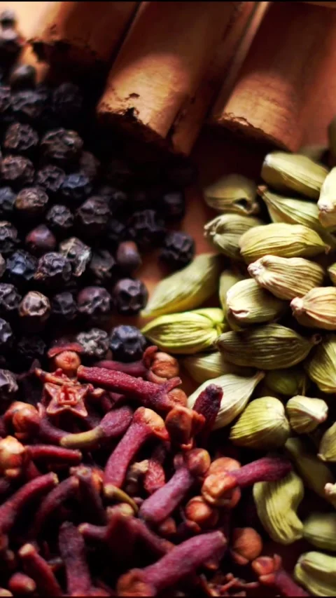 Seeding Short Videos Stock Videos – Royalty-Free HD & 4K Videos