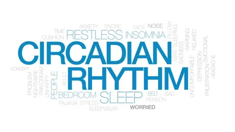Circadian rhythm animated word cloud, te... | Stock Video | Pond5