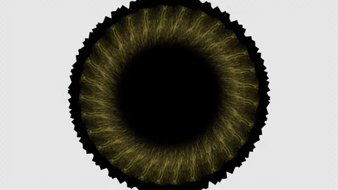 Magic Explosion Stock Footage ~ Royalty Free Stock Videos | Pond5