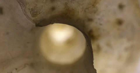 Circular shape endless rotating movement... | Stock Video | Pond5