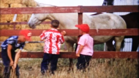 Boys Get F Stock Videos – Royalty-Free HD & 4K Videos | Pond5