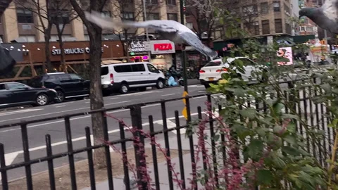 Cast Of City Stock Video Footage | Royalty Free Cast Of City Videos ...