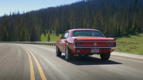 Mustang Stock Videos – Royalty-Free HD & 4K Videos