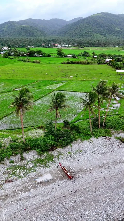 Classic Philippine Coastal Landscape wit... | Stock Video | Pond5