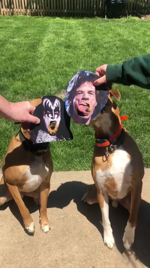 Classic Rock Videos Stock Videos – Royalty-Free HD & 4K Videos