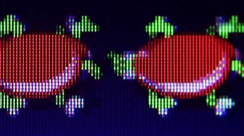 Frogger Stock Footage ~ Royalty Free Stock Videos | Pond5