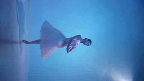 Classical ballet female dancer on pointe... | Stock Video | Pond5