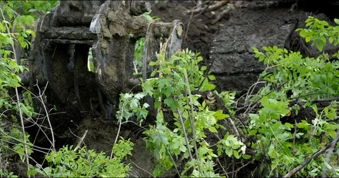 Claw on excavator tears out tree roots f... | Stock Video | Pond5