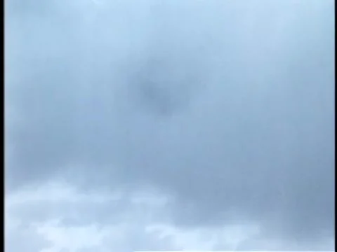 Exploding Pigeons Stock Videos – Royalty-Free HD & 4K Videos | Pond5