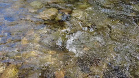 4K Transparent Cleaning Stock Videos – Royalty-Free HD & 4K Videos | Pond5