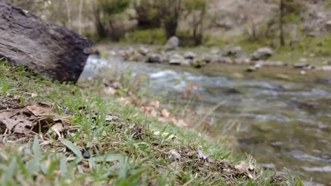 4K Transparent Cleaning Stock Videos – Royalty-Free HD & 4K Videos | Pond5