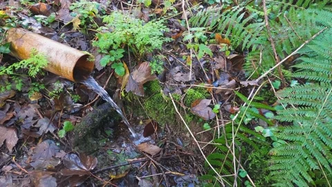 Underground Spring Water Stock Video Footage | Royalty Free Underground ...