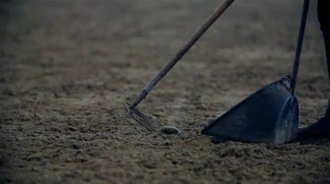 Horse Pooping Stock Videos – Royalty-Free HD & 4K Videos