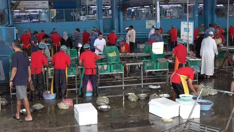 Cleaning scraping area of fish market in... | Stock Video | Pond5