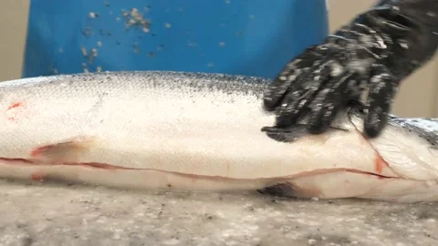 Cleaning the skin of a salmon fish in an... | Stock Video | Pond5