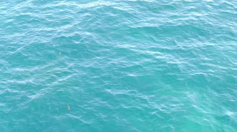 Blue In Blue Stock Videos – Royalty-Free HD & 4K Videos | Pond5