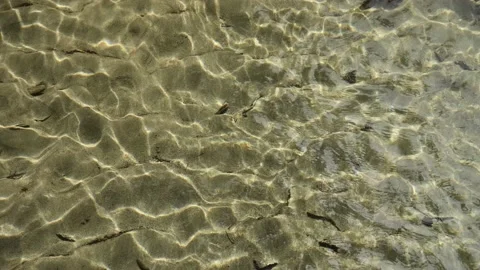 Show Forg Stock Videos – Royalty-Free HD & 4K Videos | Pond5