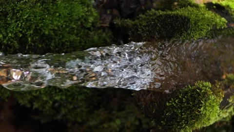 clear water of the spring flows through ... | Stock Video | Pond5