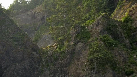 La Push Beach Stock Videos – Royalty-Free HD & 4K Videos | Pond5