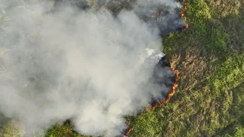 Release Of S Stock Videos – Royalty-Free HD & 4K Videos