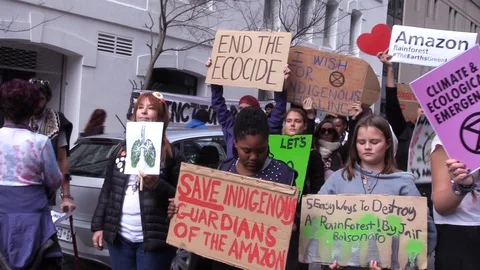 Cthe Consulate Stock Videos – Royalty-Free HD & 4K Videos