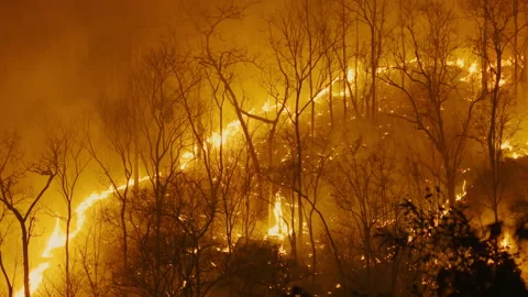 Release Of S Stock Videos – Royalty-Free HD & 4K Videos