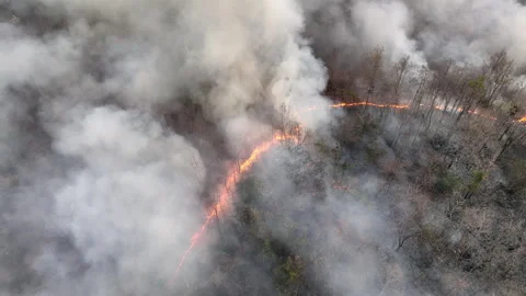 Release Of S Stock Videos – Royalty-Free HD & 4K Videos