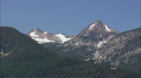 Bitterroot Stock Footage ~ Royalty Free Stock Videos | Pond5