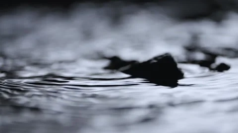 Clip Drop In Stock Videos – Royalty-Free HD & 4K Videos