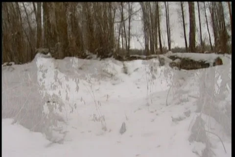 Beyond Clips Stock Video Footage | Royalty Free Beyond Clips Videos | Pond5