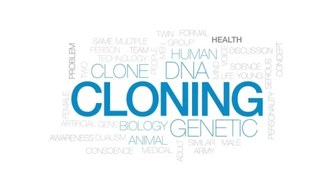 Cloning animated word cloud, text design... | Stock Video | Pond5