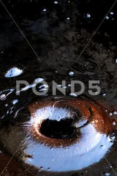 Close-Up 4K Ultra HD Image of Crude Oil Seeping on the Ground ~ Hi Res ...