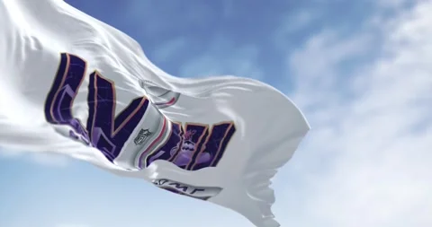 Close-up of 58th Super Bowl flag waving | Stock Video | Pond5