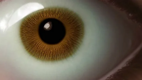 Close up abstract of human eye looping v... | Stock Video | Pond5
