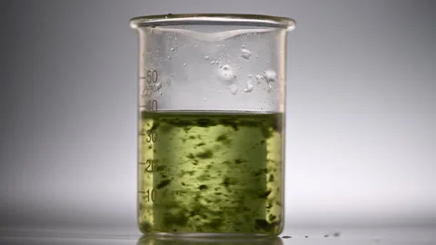 Close up of algae in glass measuring cup... | Stock Video | Pond5