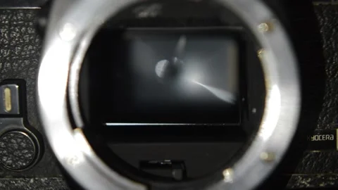 close-up analog reflex camera shoot a ph... | Stock Video | Pond5
