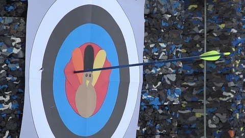 Arrow Hitting Target Stock Footage ~ Royalty Free Stock Videos | Pond5