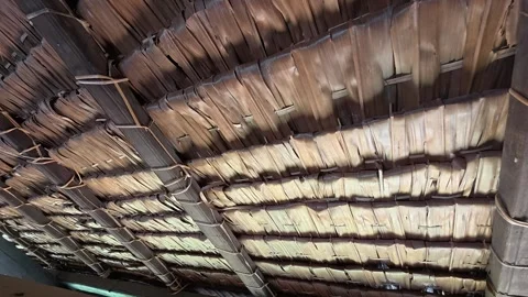 Close-up of Atap Nipah Thatch Roof on Tr... | Stock Video | Pond5