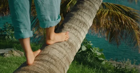 Close-up barefoot feet walking on tree r... | Stock Video | Pond5